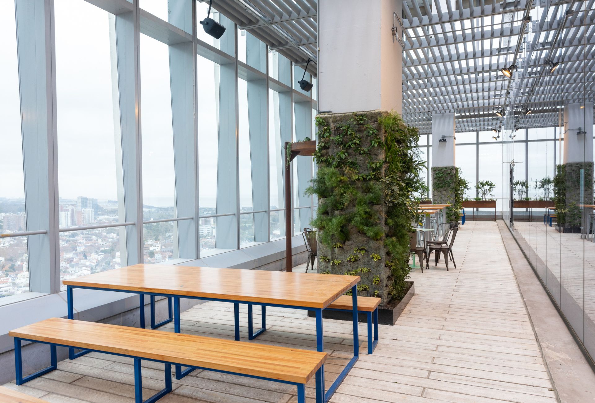 Naturaleza en la Oficina: Descubre los Innumerables Beneficios de ...